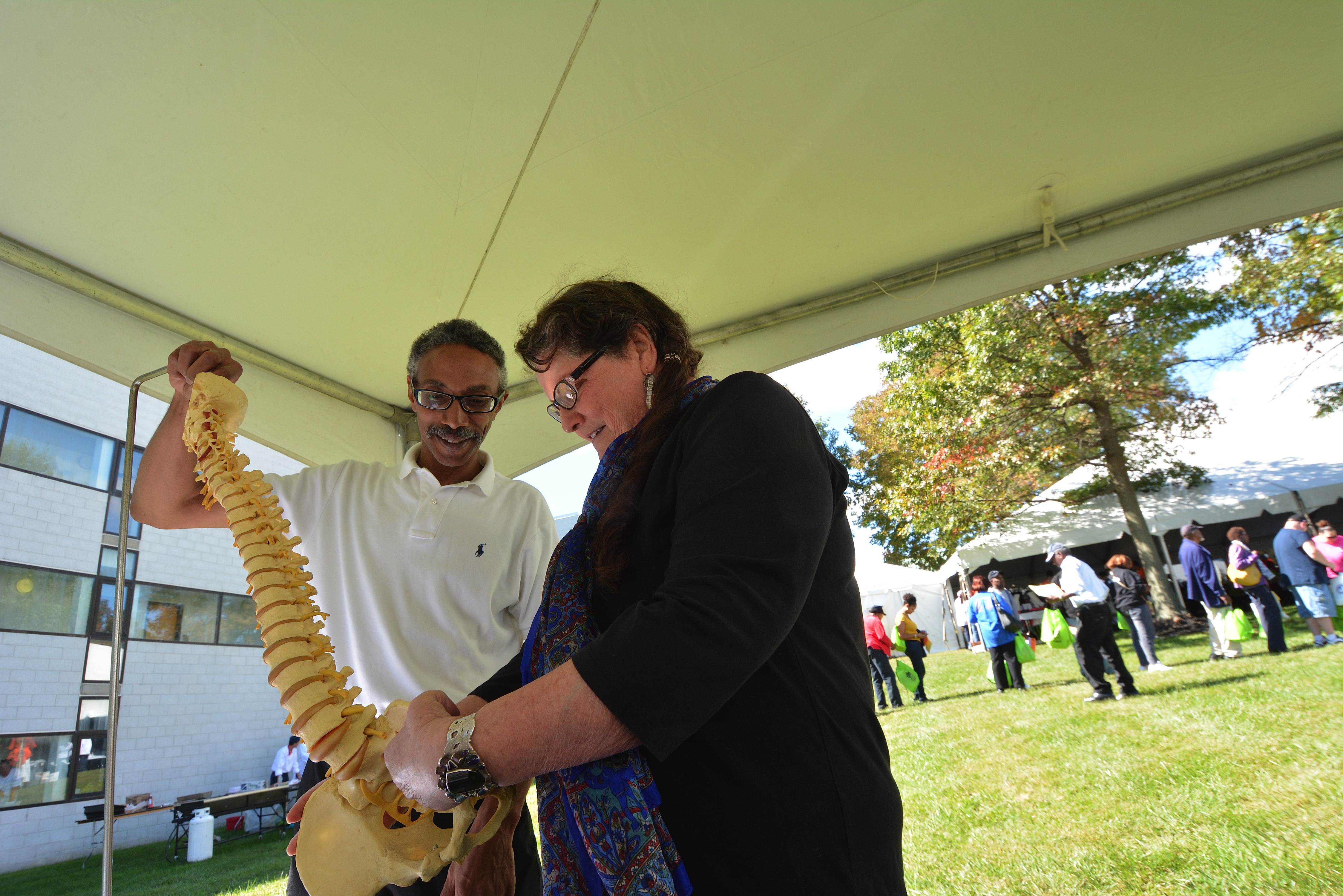 Highlights FFFD 2013